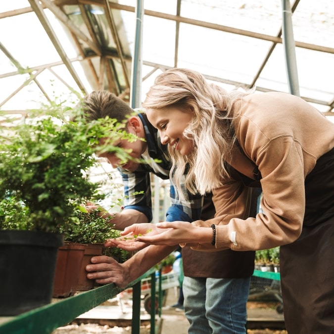 How to Check Your Plant's Health: A Comprehensive Guide – NextGenGardening™