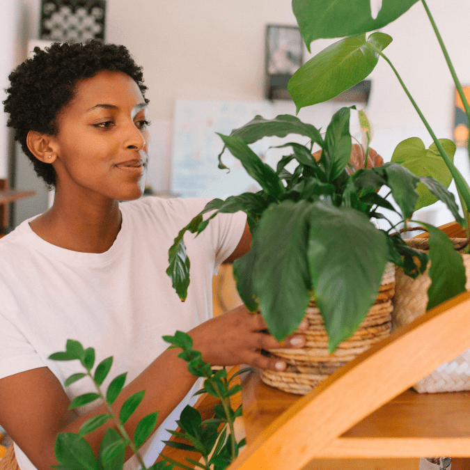 The Ultimate Guide to Cultivating Happy, Healthy Houseplants ...