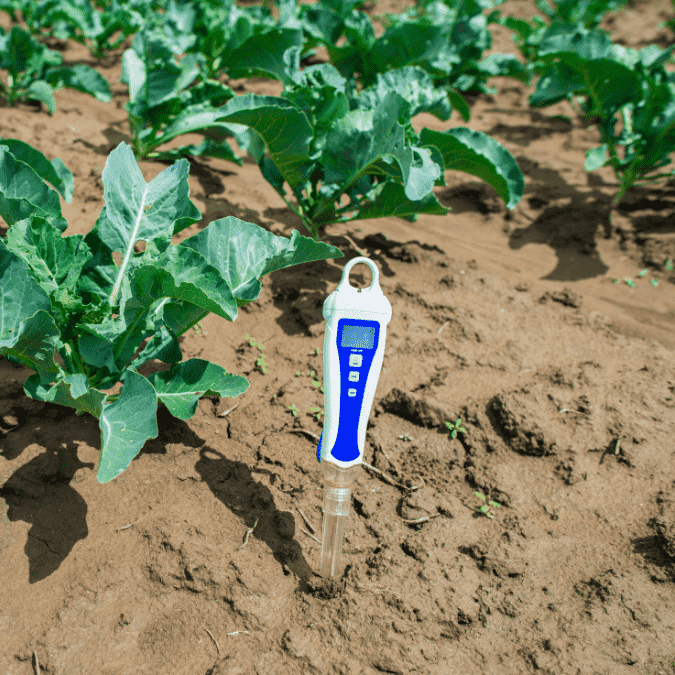 Unlocking the Secrets of Soil pH: A Comprehensive Guide to Understandi ...