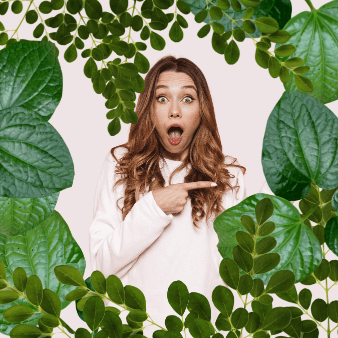 Can Your Garden Gossip? Unraveling the Astonishing Chatter of Plants ...