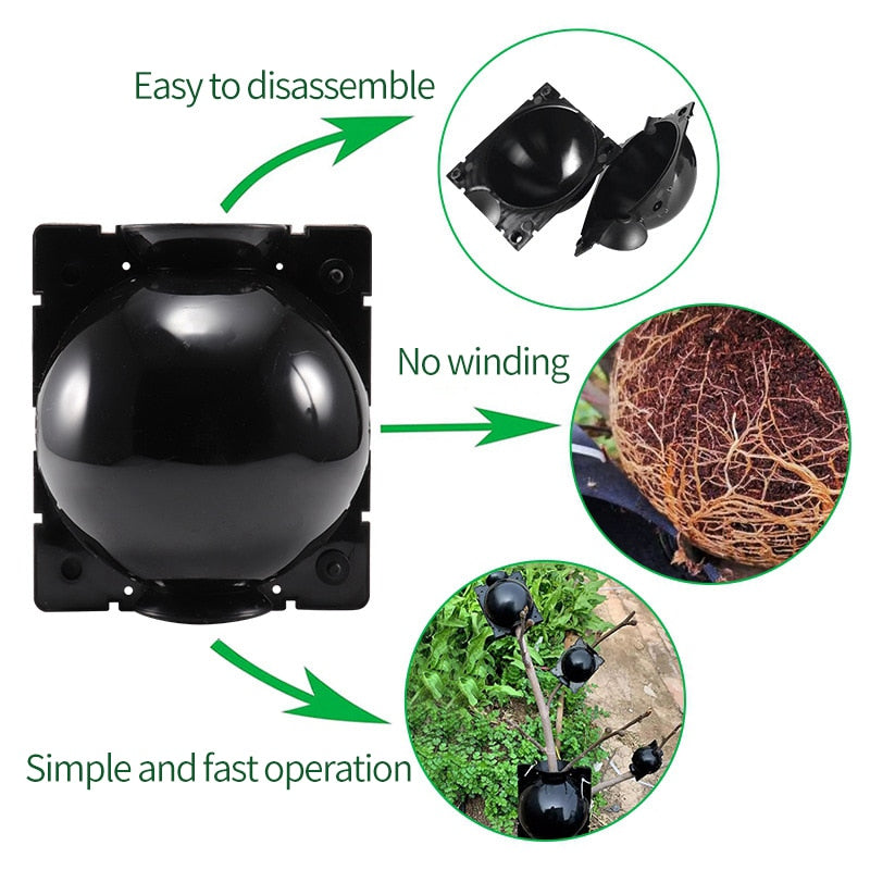 PlantPropa® | Plant Propagation Balls to Quickly Clone Plants ...