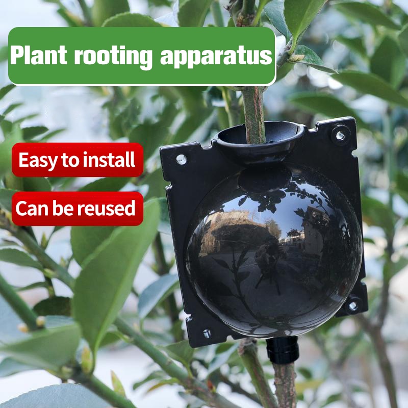 PlantPropa® | Plant Propagation Balls to Quickly Clone Plants ...