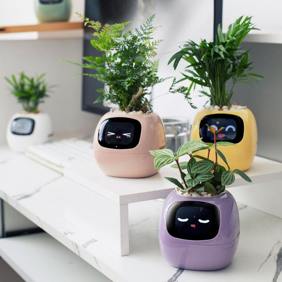 NextGen Ivy Smart Planter – NextGenGardening™