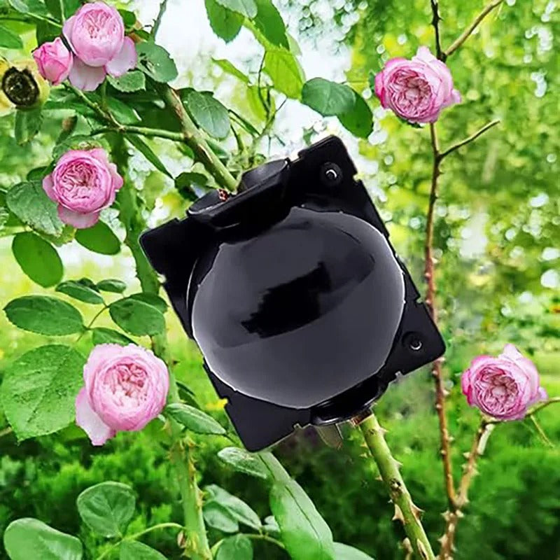 PlantPropa® | Plant Propagation Balls to Quickly Clone Plants ...