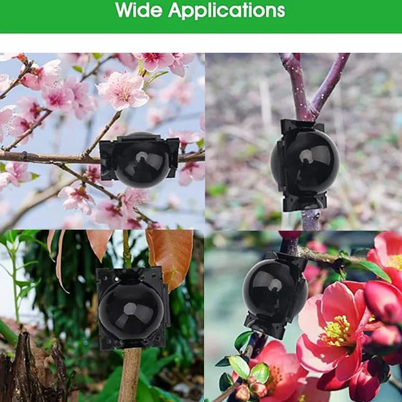 PlantPropa® | Plant Propagation Balls to Quickly Clone Plants ...