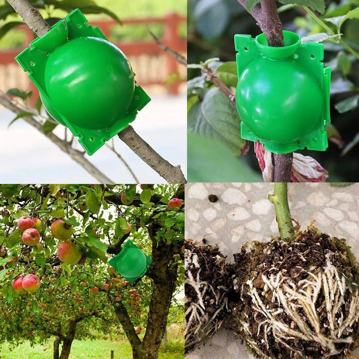 PlantPropa® | Plant Propagation Balls to Quickly Clone Plants ...