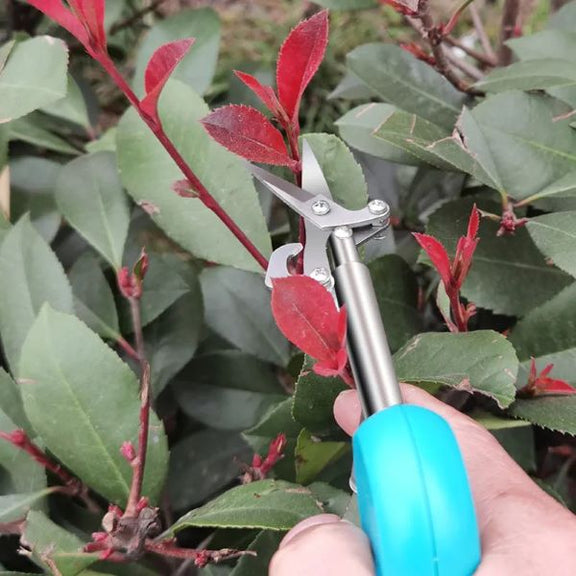 Precision Pruning Scissors – NextGenGardening™