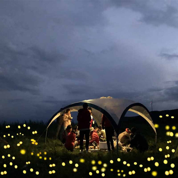 SolarFly® | Stunning Solar Powered Firefly Lights – NextGenGardening