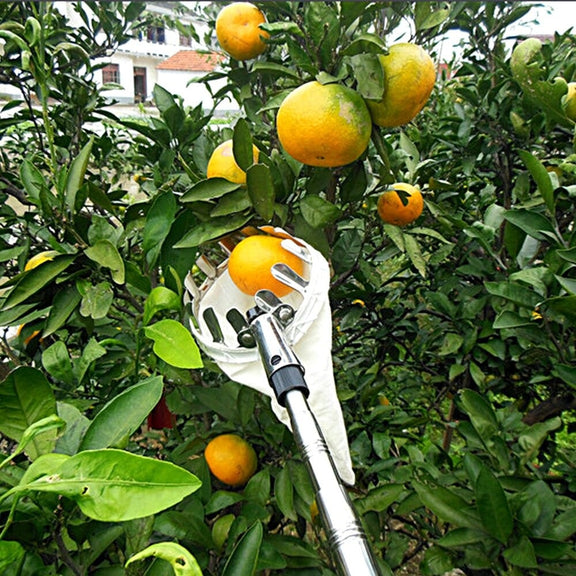 Fruit Picker Head Basket – NextGenGardening™